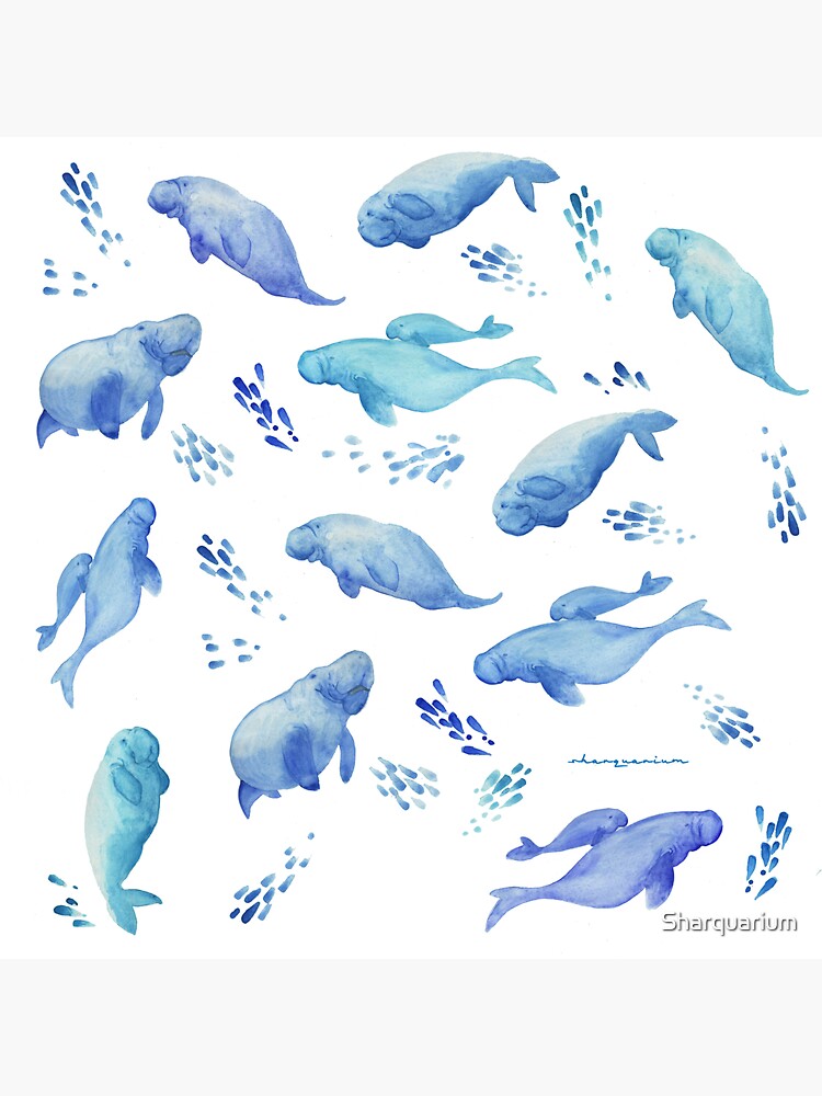 "dugong" Sticker for Sale by Sharquarium | Redbubble