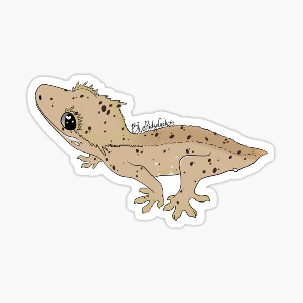 "Yellow Dalmation Crested Gecko" Sticker for Sale by BlueRidgeGeckos ...