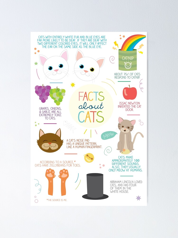 "Facts About Cats" Poster for Sale by LivelyLexie | Redbubble