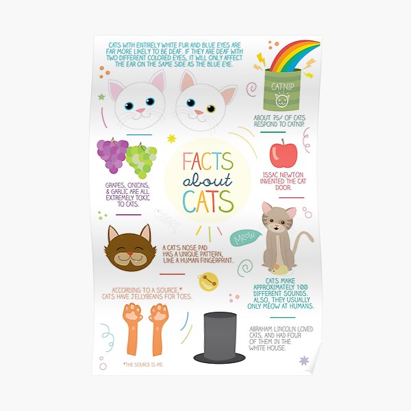"Facts About Cats" Poster for Sale by LivelyLexie | Redbubble