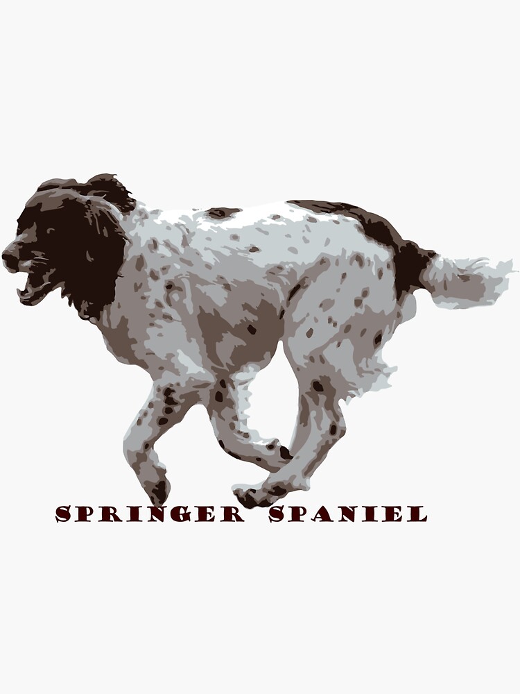 "Springer Spaniel in Action: Colour Logo" Sticker by AliusImago | Redbubble
