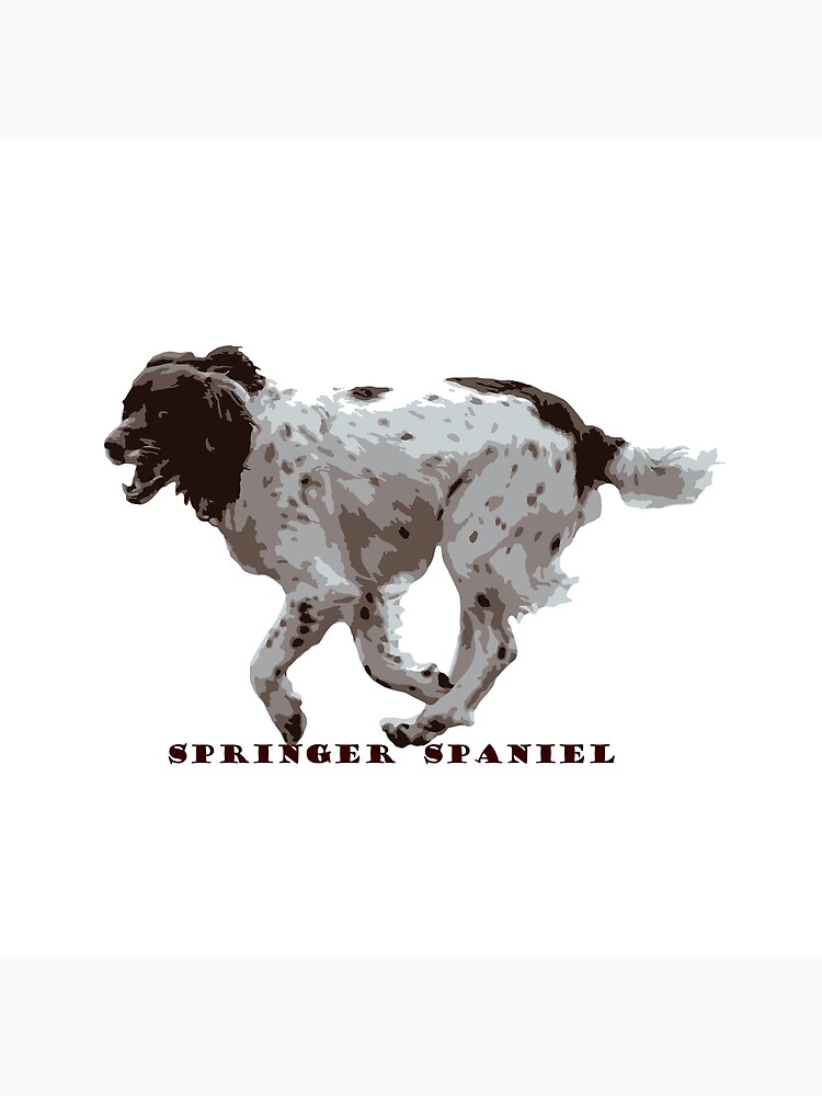 "Springer Spaniel in Action: Colour Logo" Poster by AliusImago | Redbubble