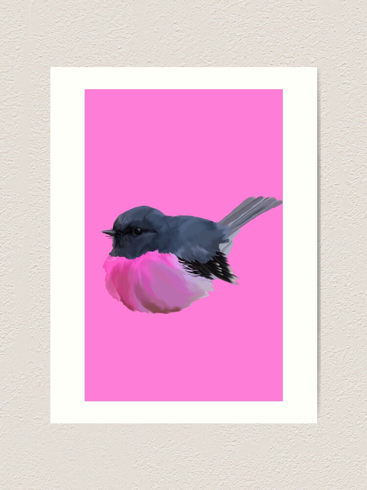 "pink robin" Art Print for Sale by bin-chicken-art | Redbubble