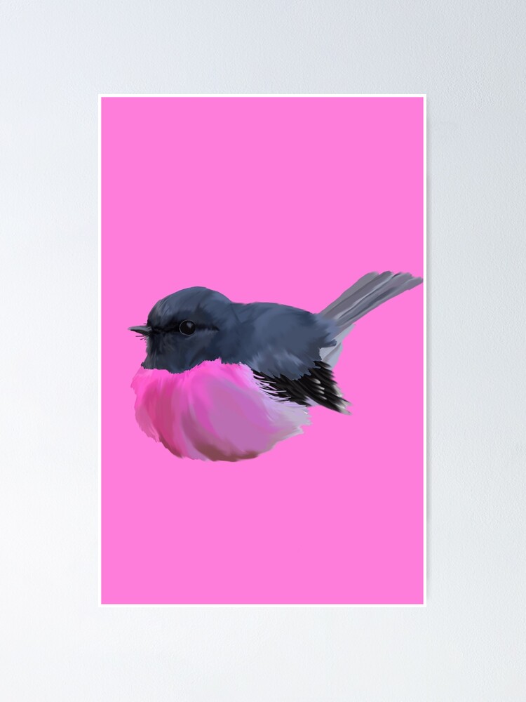 "pink robin" Poster for Sale by bin-chicken-art | Redbubble