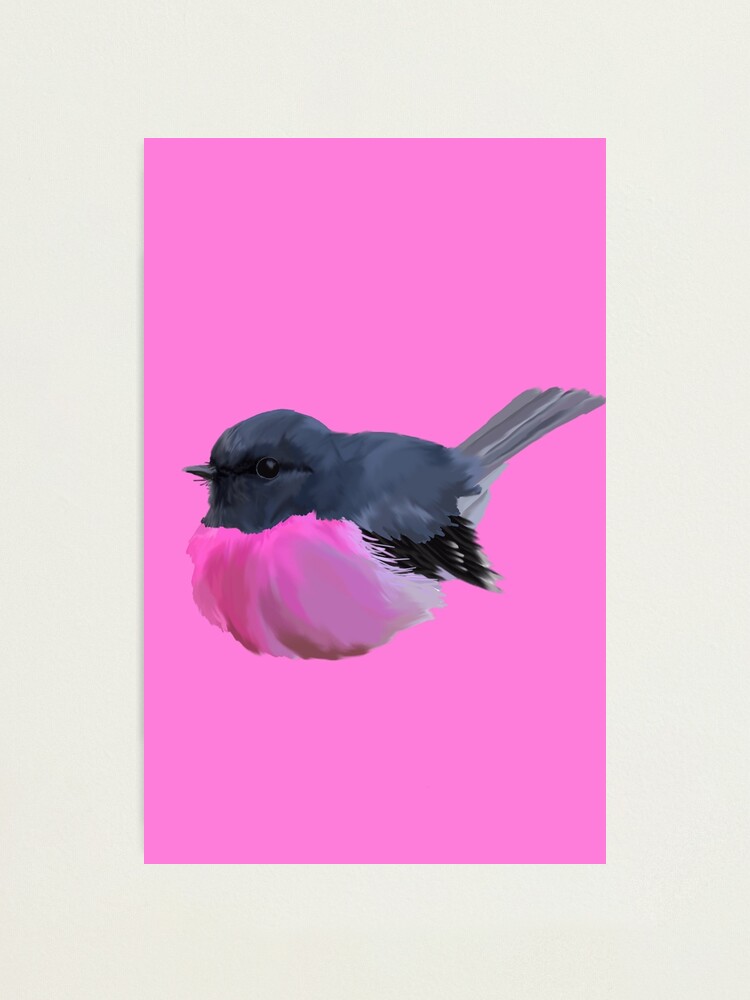 "pink robin" Photographic Print for Sale by bin-chicken-art | Redbubble