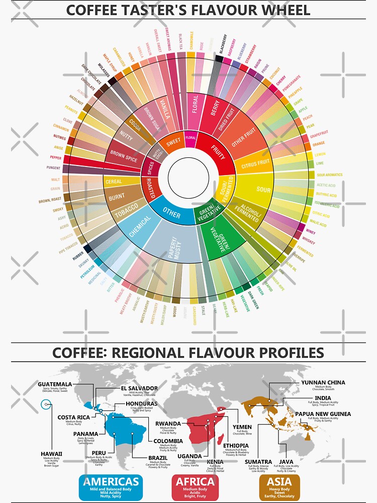 "Coffee Flavour Profiles: Flavour Wheel and Regional Maps" Sticker for ...