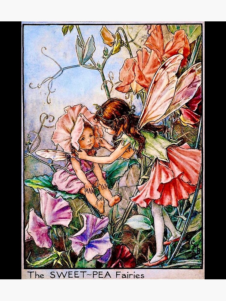 The Sweet Pea Fairies” By Cicely Mary Barker Poster Poster For Sale By