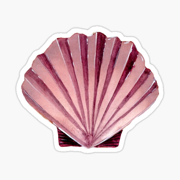"Pink Seashell - Watercolour Illustration" Sticker for Sale by ...