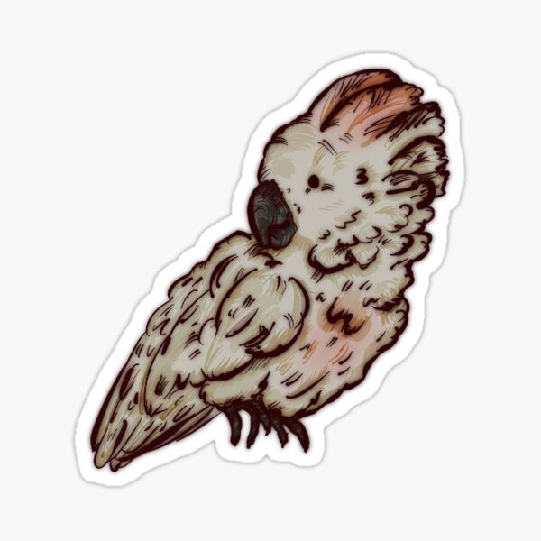 "Parrot Cockatoo Sticker Pin" Sticker for Sale by Grzybsko | Redbubble