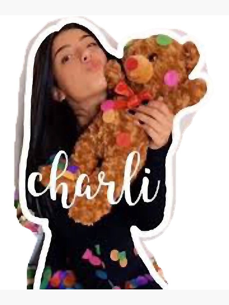 "Charlie damelio Hype House Tik Tok influencer with a teddy bear ...