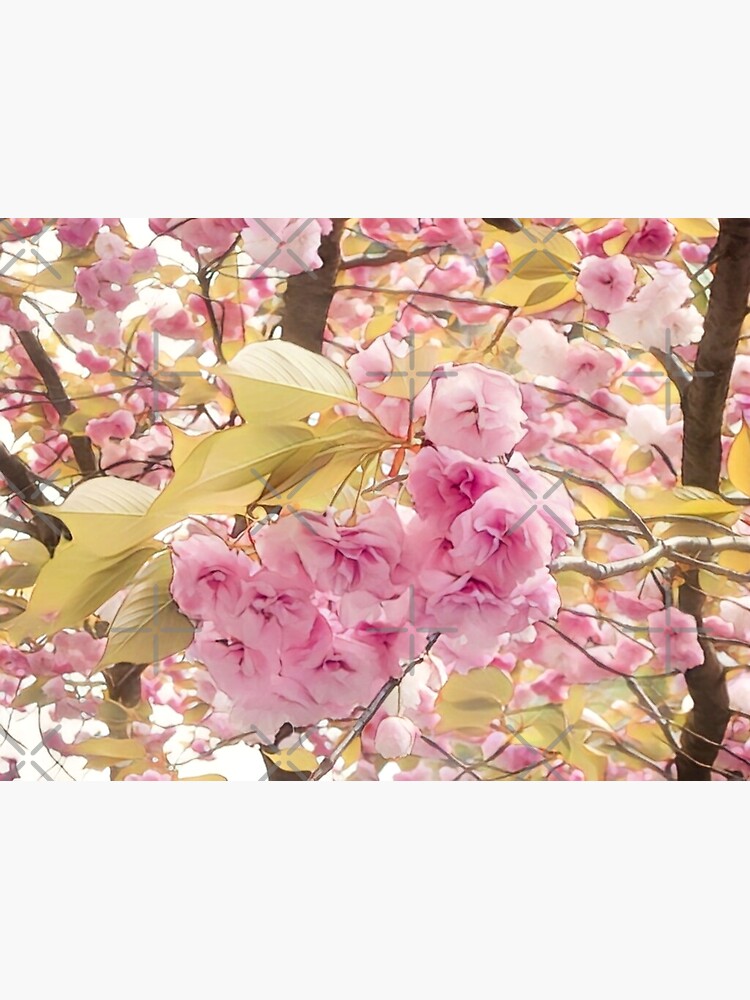 "Beautiful Shinjuku Gyoen National Garden Flower Tokyo Japan - Cartoon ...