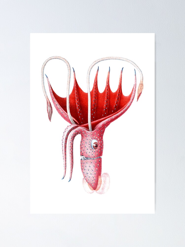 "Red Squid" Poster for Sale by Ephemerae | Redbubble
