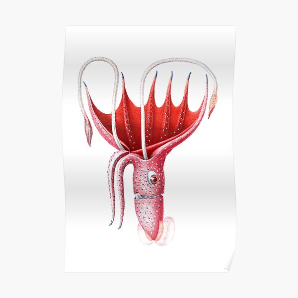 "Red Squid" Poster for Sale by Ephemerae | Redbubble