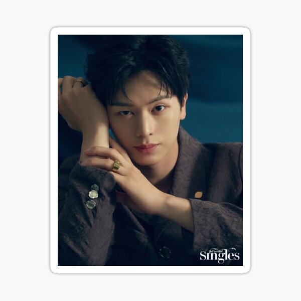 "Yook Sung-jae" Sticker for Sale by kmixx | Redbubble
