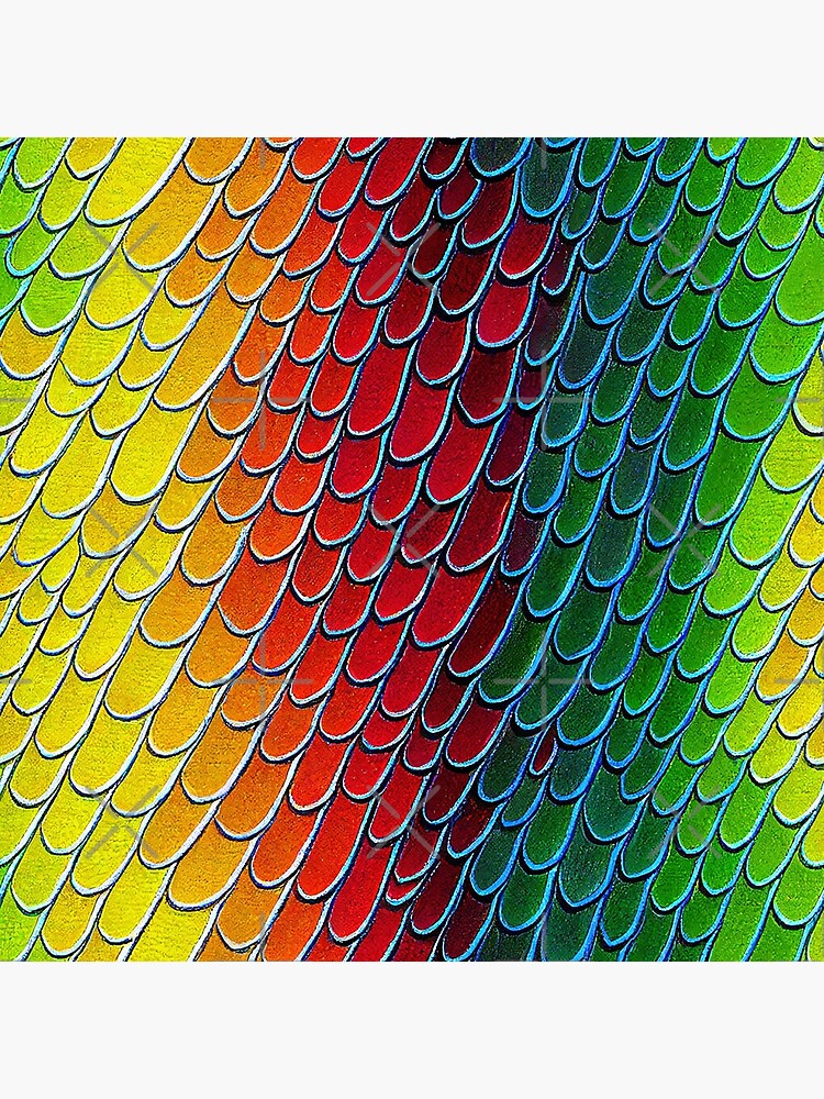 "Rainbow Dragon Scales" Poster for Sale by FantasyPatterns | Redbubble