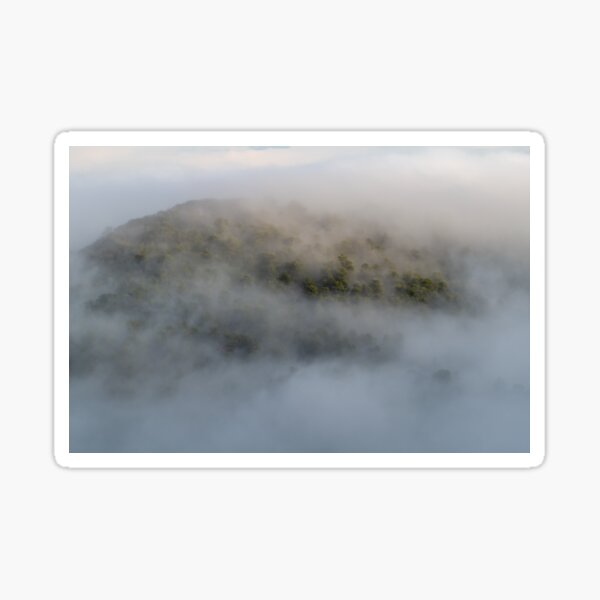 "The forest under the mist" Sticker for Sale by DavidGabisPhoto | Redbubble
