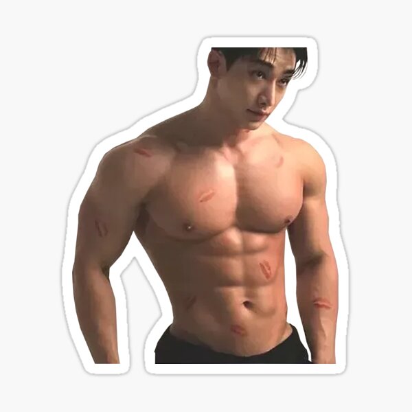 "Wonho Kiss Marked Abs" Sticker for Sale by kawaiicrossing | Redbubble