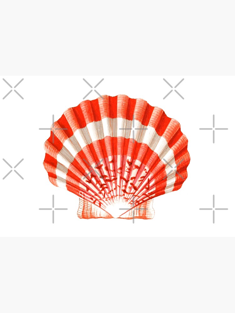 "Bright Red Scallop Shell" Poster for Sale by Ephemerae | Redbubble