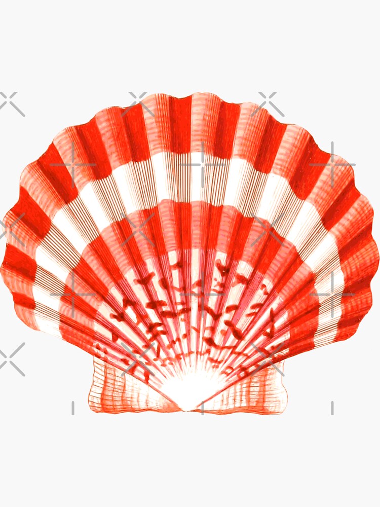"Bright Red Scallop Shell" Sticker for Sale by Ephemerae | Redbubble