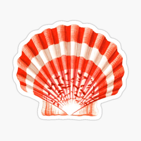 "Bright Red Scallop Shell" Sticker for Sale by Ephemerae | Redbubble