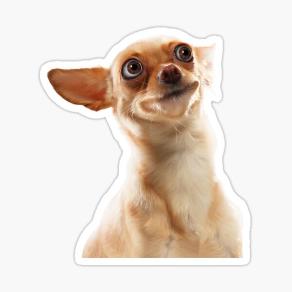 "Dog Yikes Face " Sticker for Sale by Hojibelo | Redbubble