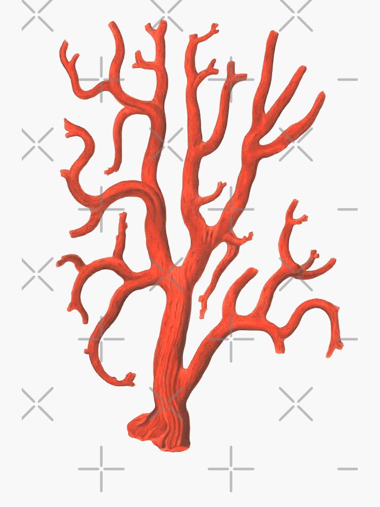 "Red Coral Tree" Sticker for Sale by Ephemerae | Redbubble