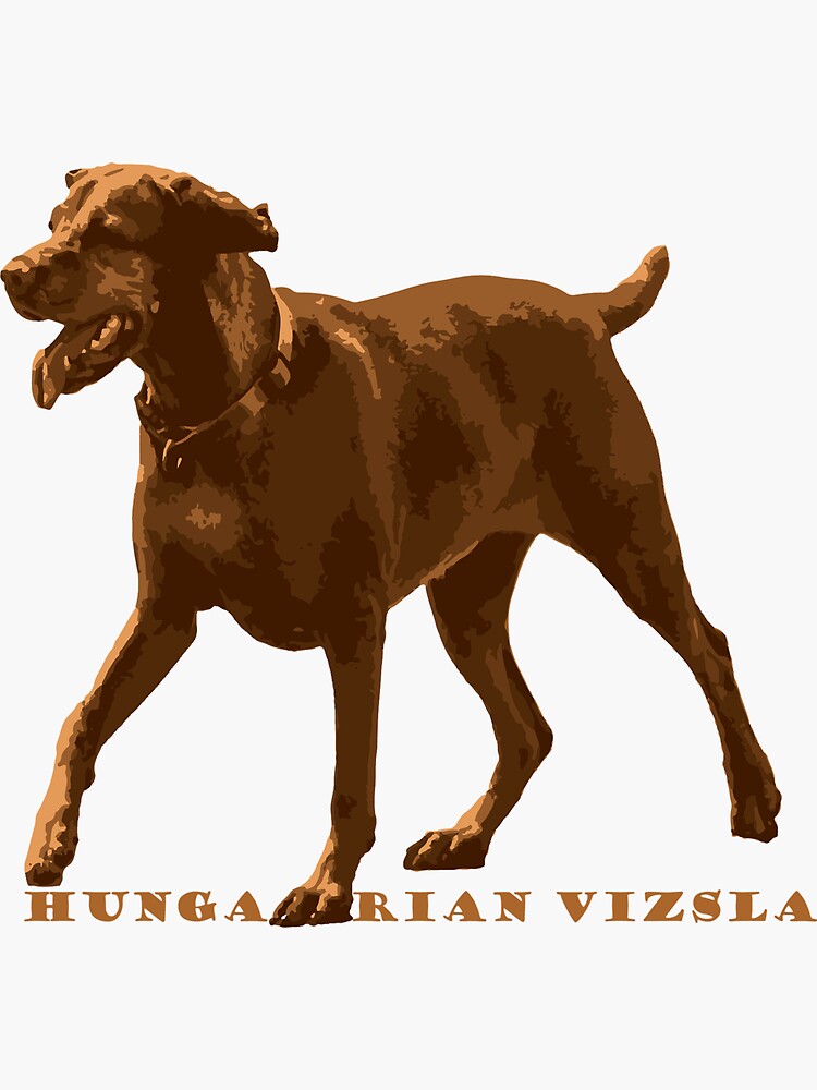 "Hungarian Vizsla in Action: Colour Logo" Sticker by AliusImago | Redbubble