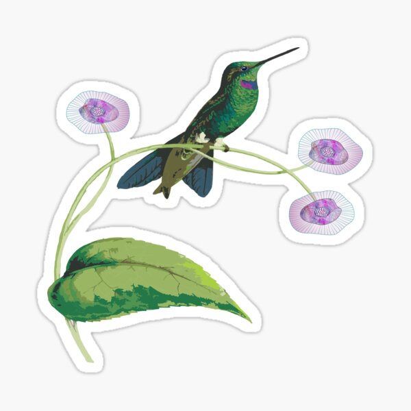 "HUMMINGBIRD HEAVEN" Sticker for Sale by MinnMar | Redbubble
