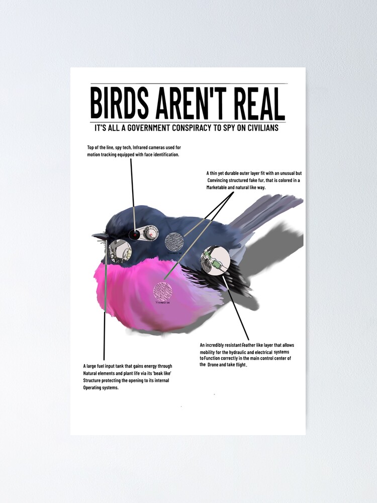 "BIRDS AREN'T REAL" Poster for Sale by bin-chicken-art | Redbubble