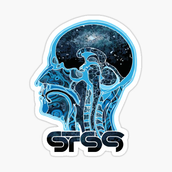 "st9" Sticker for Sale by Holly11 | Redbubble