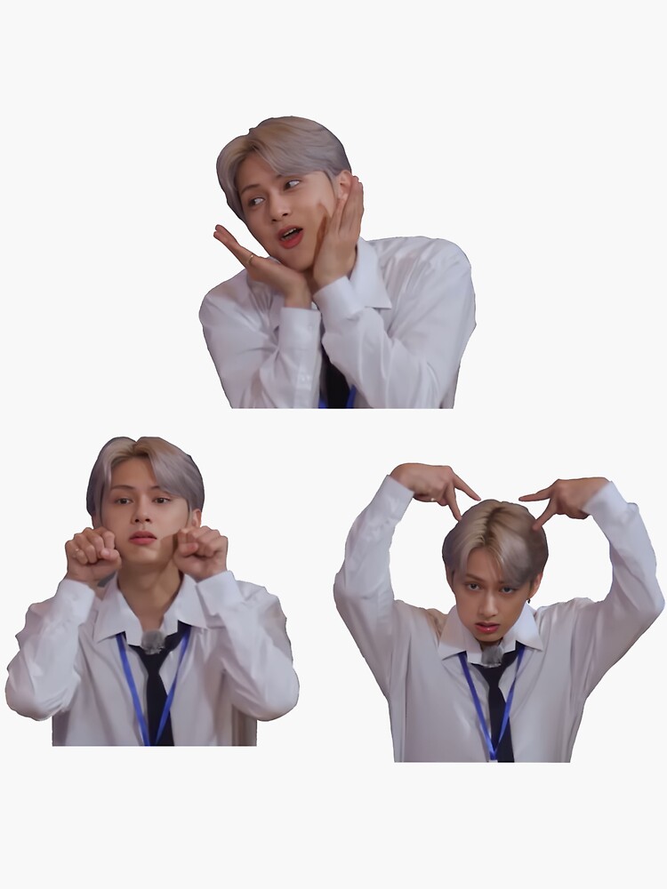 "junhui catboy agenda" Sticker for Sale by gemimai | Redbubble