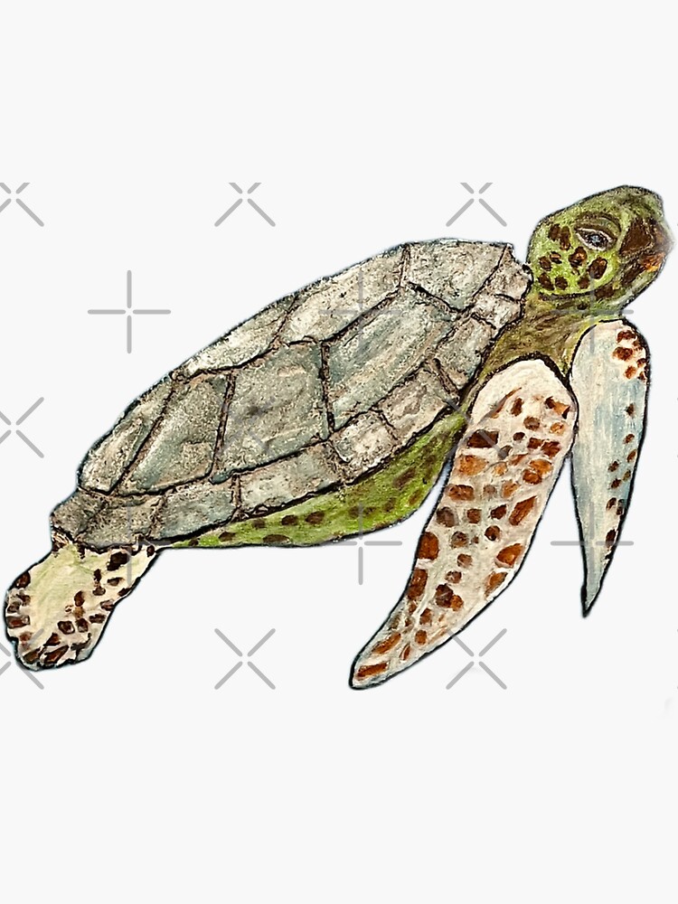 "Tortuga" Sticker for Sale by drmikedelgado | Redbubble