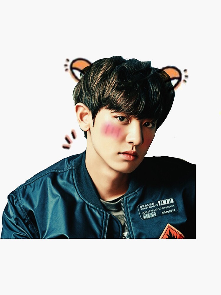 "Cute Chanyeol #5" Sticker for Sale by liliidaes | Redbubble