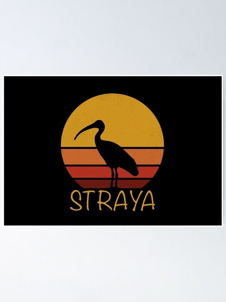"Straya Retro Vintage Sunset Bin Chicken" Poster for Sale by ...