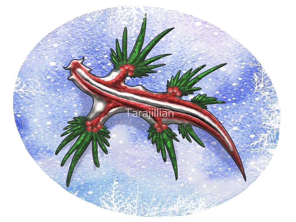 "Christmas Sea slug" by Tarajillian | Redbubble