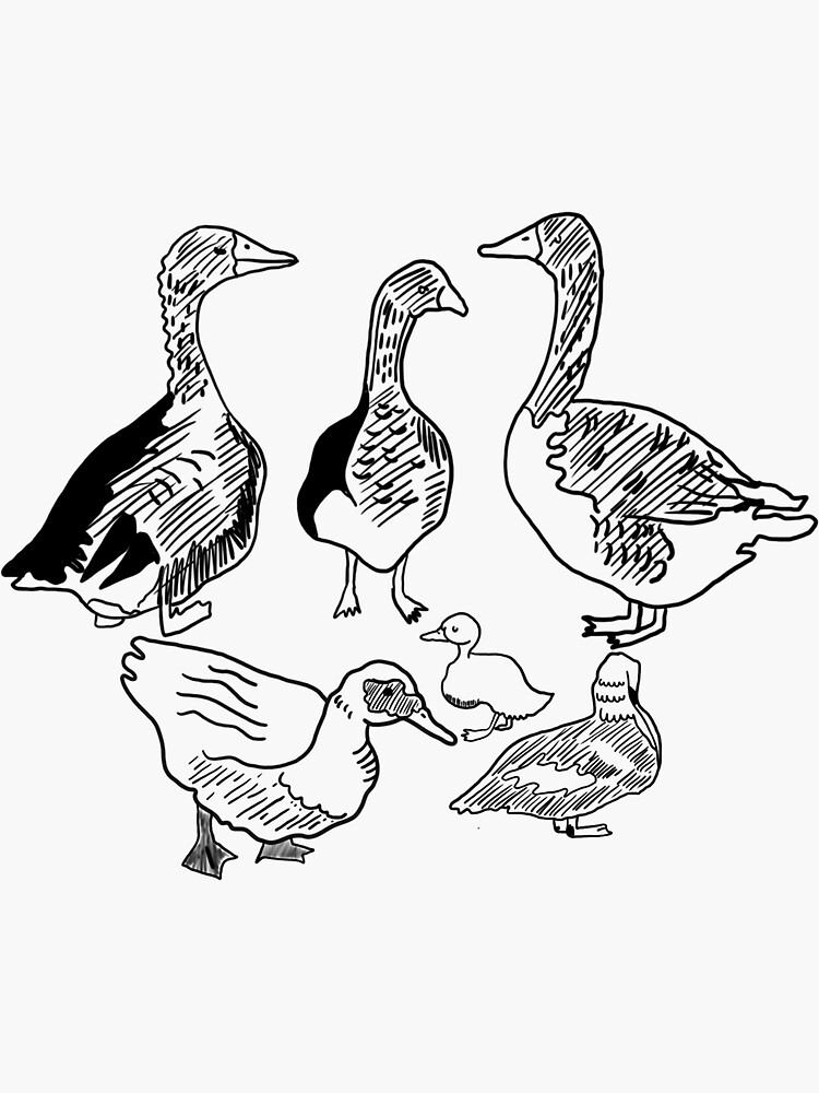 "Duck gang" Sticker for Sale by lolliesonsunday | Redbubble