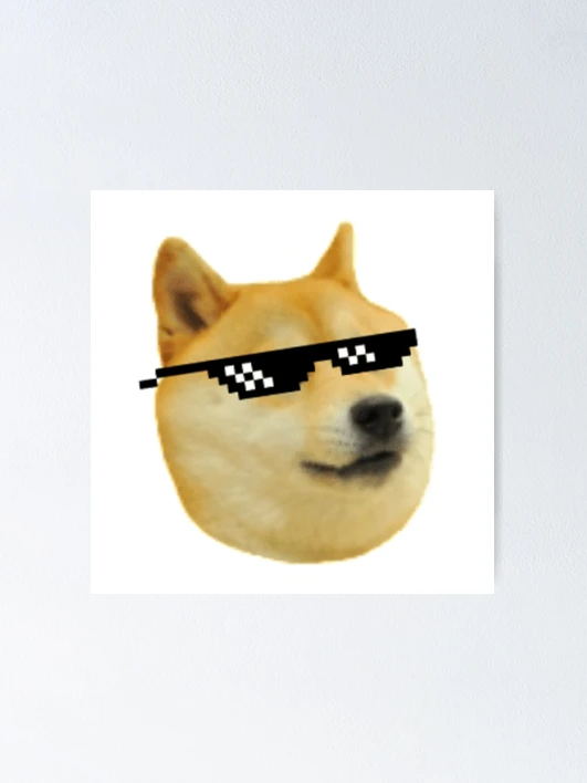Doge Tumblr So Cool