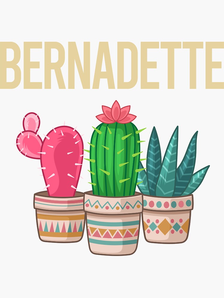 "Happy Cactus Bernadette" Sticker for Sale by StoreLucid | Redbubble