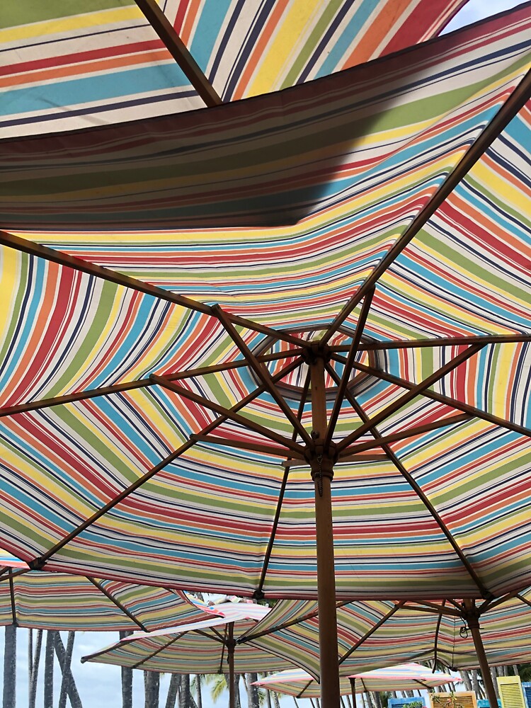 Umbrellas Cairns at Laura Painter blog