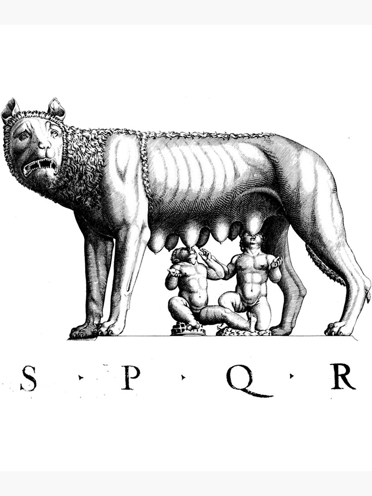 "SPQR Roman Rome wolf Romulus Remus" Poster for Sale by substantialmusi ...