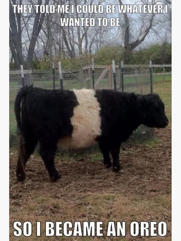 "Funny cow oreo - Meme" Poster for Sale by pusla | Redbubble