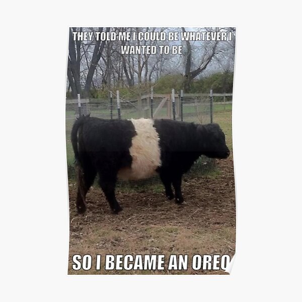 "Funny cow oreo - Meme" Poster for Sale by pusla | Redbubble