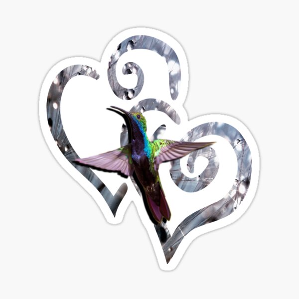 "Hummingbird Lovers Hear Design" Sticker for Sale by tamdevo1 | Redbubble