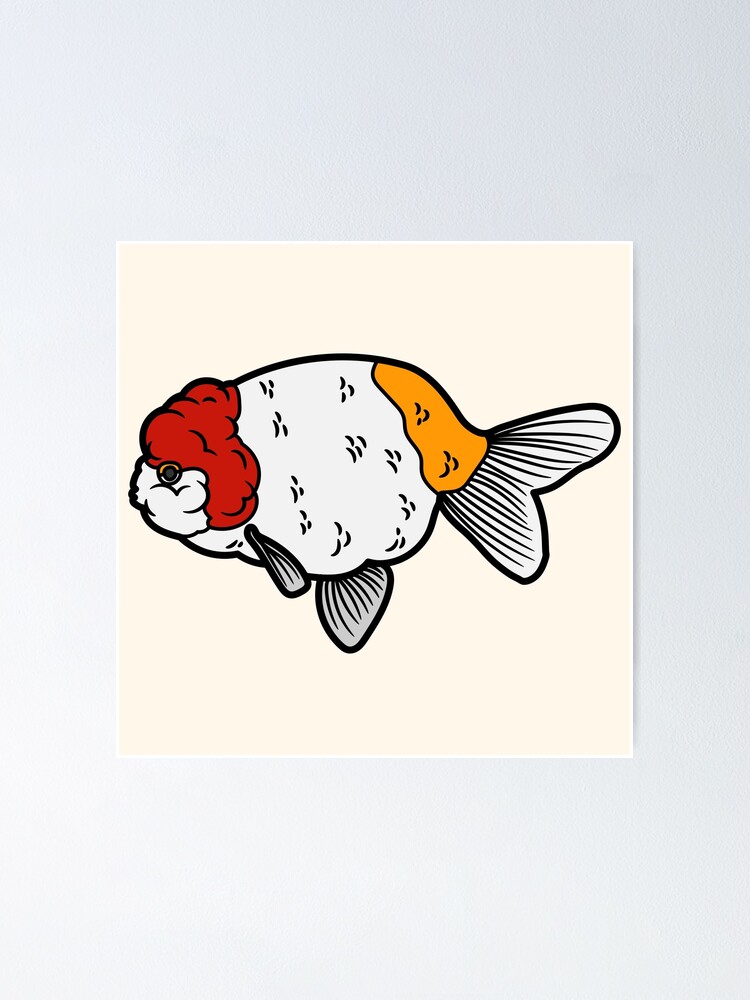 "ranchu goldfish" Poster for Sale by Animster | Redbubble