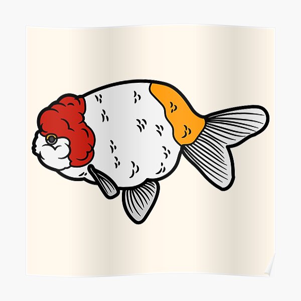 "ranchu goldfish" Poster for Sale by Animster | Redbubble