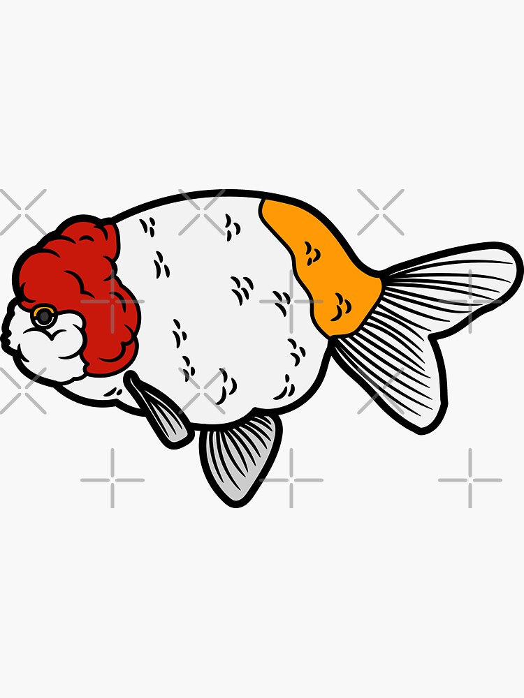 "ranchu goldfish" Sticker for Sale by Animster | Redbubble