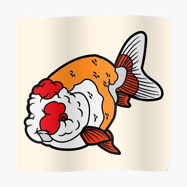 "ranchu goldfish" Poster for Sale by Animster | Redbubble