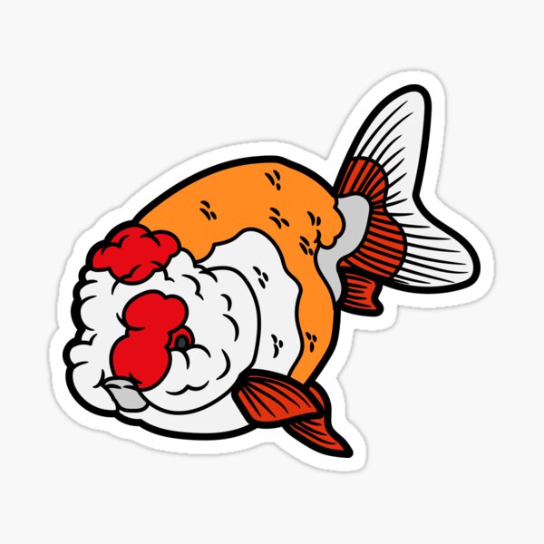 "ranchu goldfish" Sticker for Sale by Animster | Redbubble