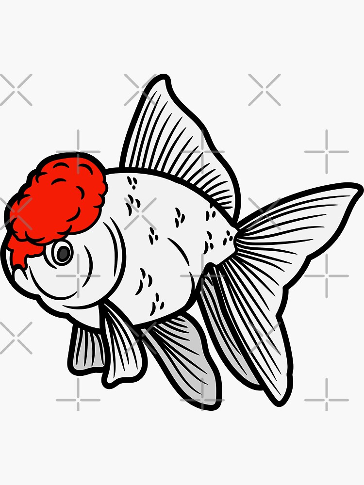 "red cap oranda goldfish" Sticker for Sale by Animster | Redbubble