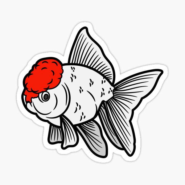 "red cap oranda goldfish" Sticker for Sale by Animster | Redbubble